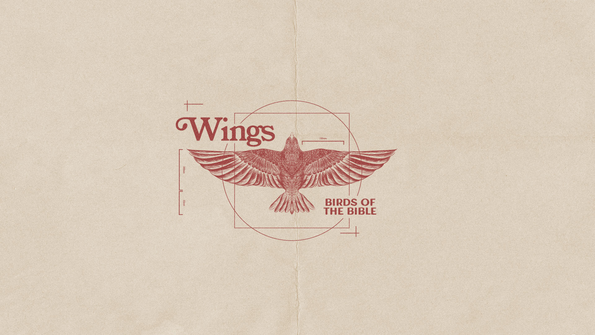 3Circle Church | Wings